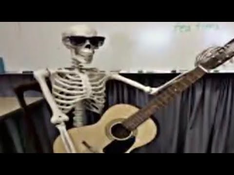 Top 5 Skeletons - YouTube