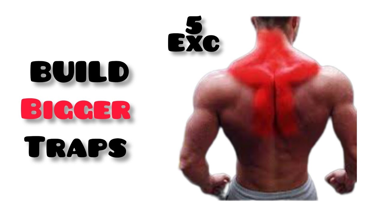 5 BEST TRAPS EXCERCISE TO GET BIGGER TRAPS - YouTube