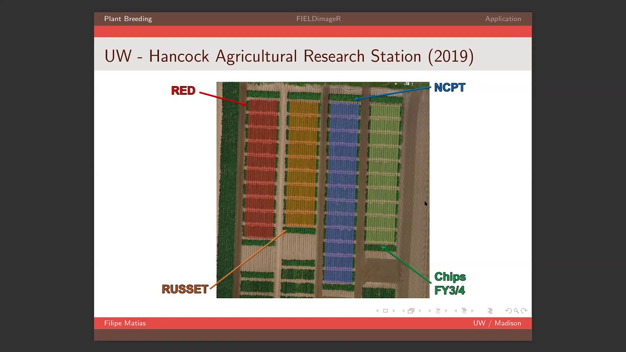 FIELDimageR: An R Package to Analyze Orthomosaic Images from ...