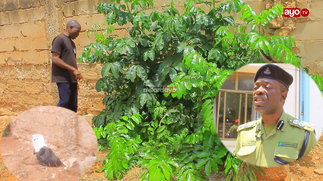 ALIYETUPA WATOTO MAPACHA KICHAKANI AKAMATWA, RPC MKAMA AFUNGUKA ...