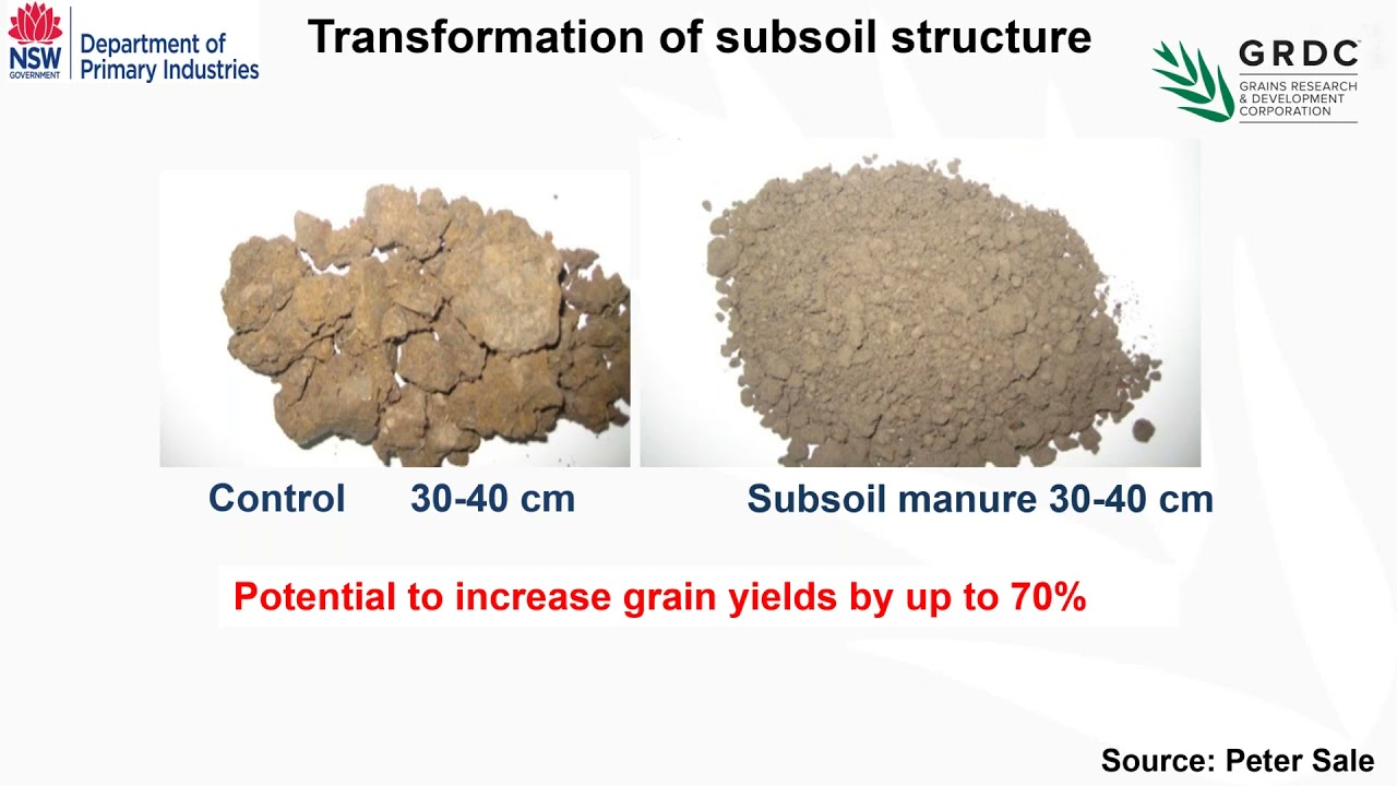 Soil Amelioration: Magnitude of crop productivity improvements in ...