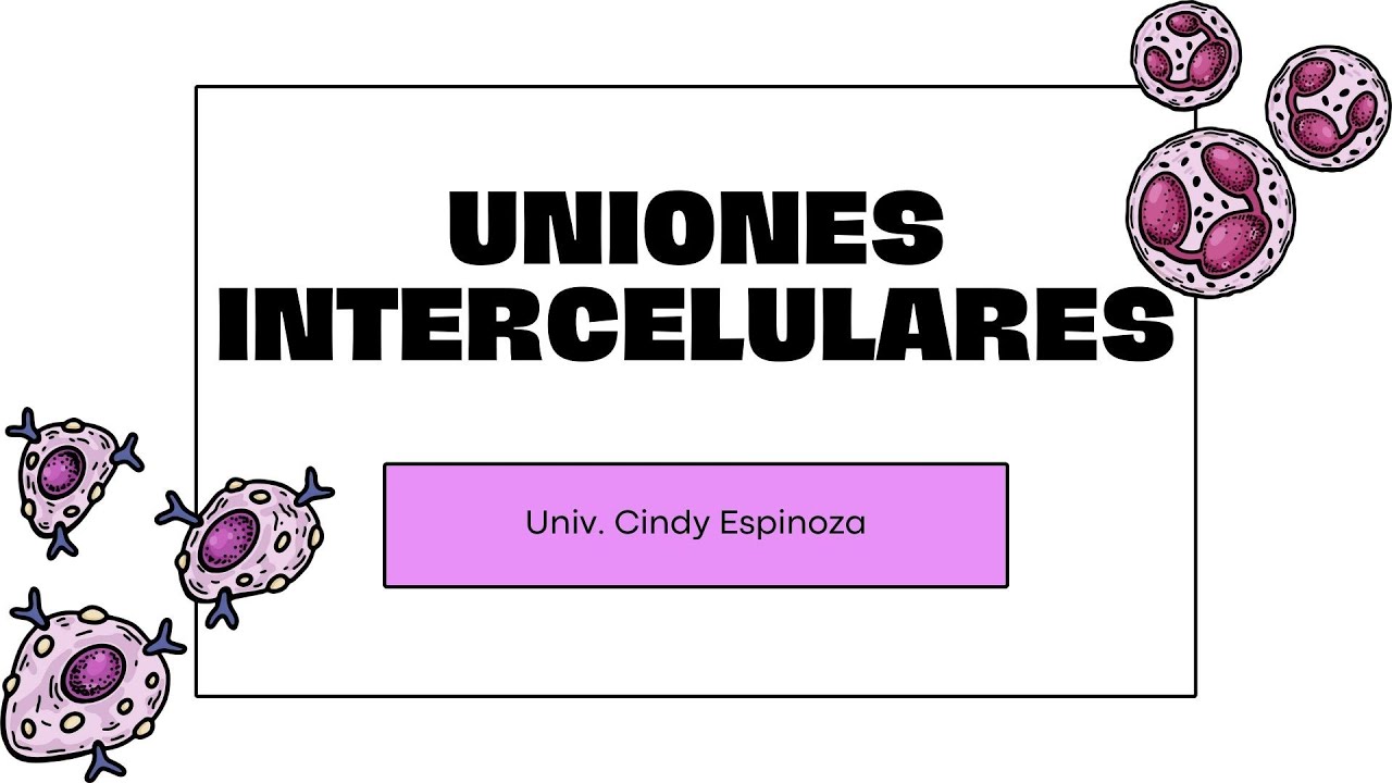Semana 7 - Uniones intercelulares + Señalización celular - Biología ...