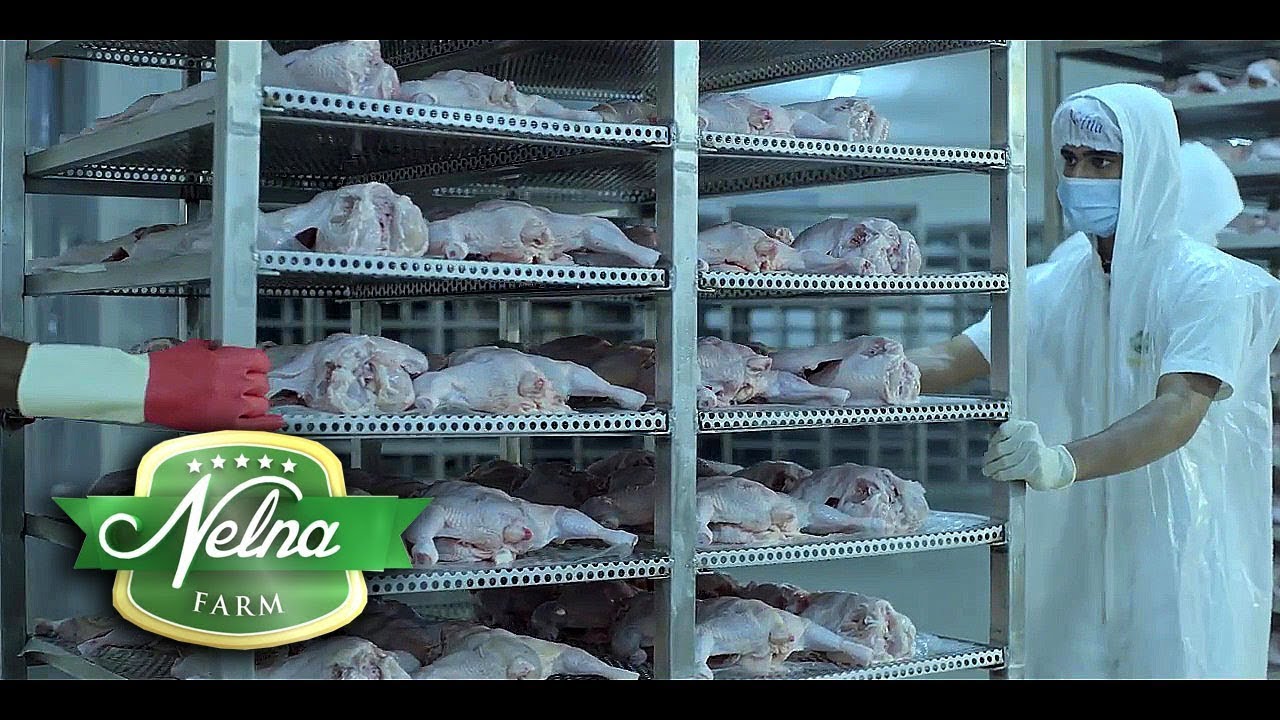 Nelna Farm Corporate - YouTube