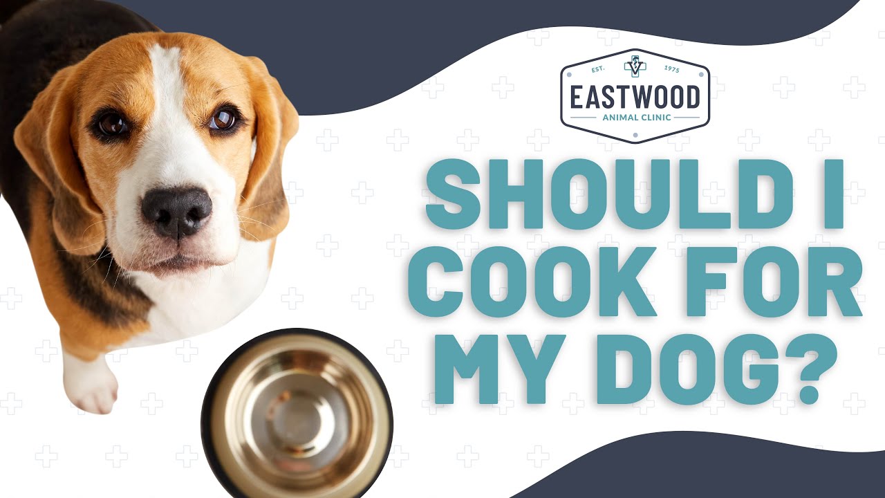 Should I Cook For My Dog? - YouTube