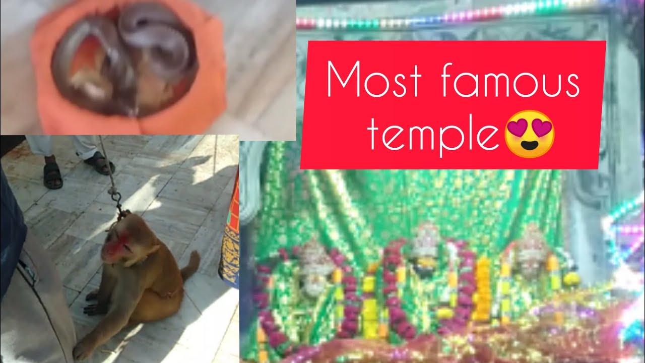 Nari Semri mata Temple |Mathura|First vlog 📸 - YouTube