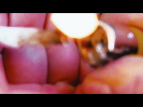 Brucherò nei pascoli - Piccoli fuochi (Official Visual Art)