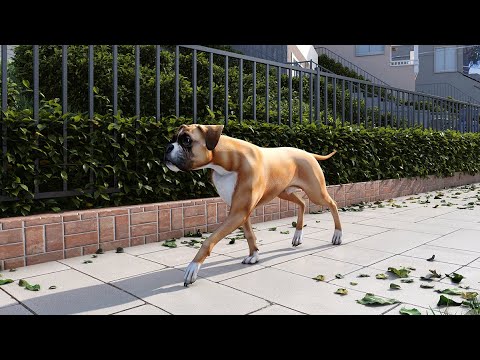 Dog Bite Animation - YouTube