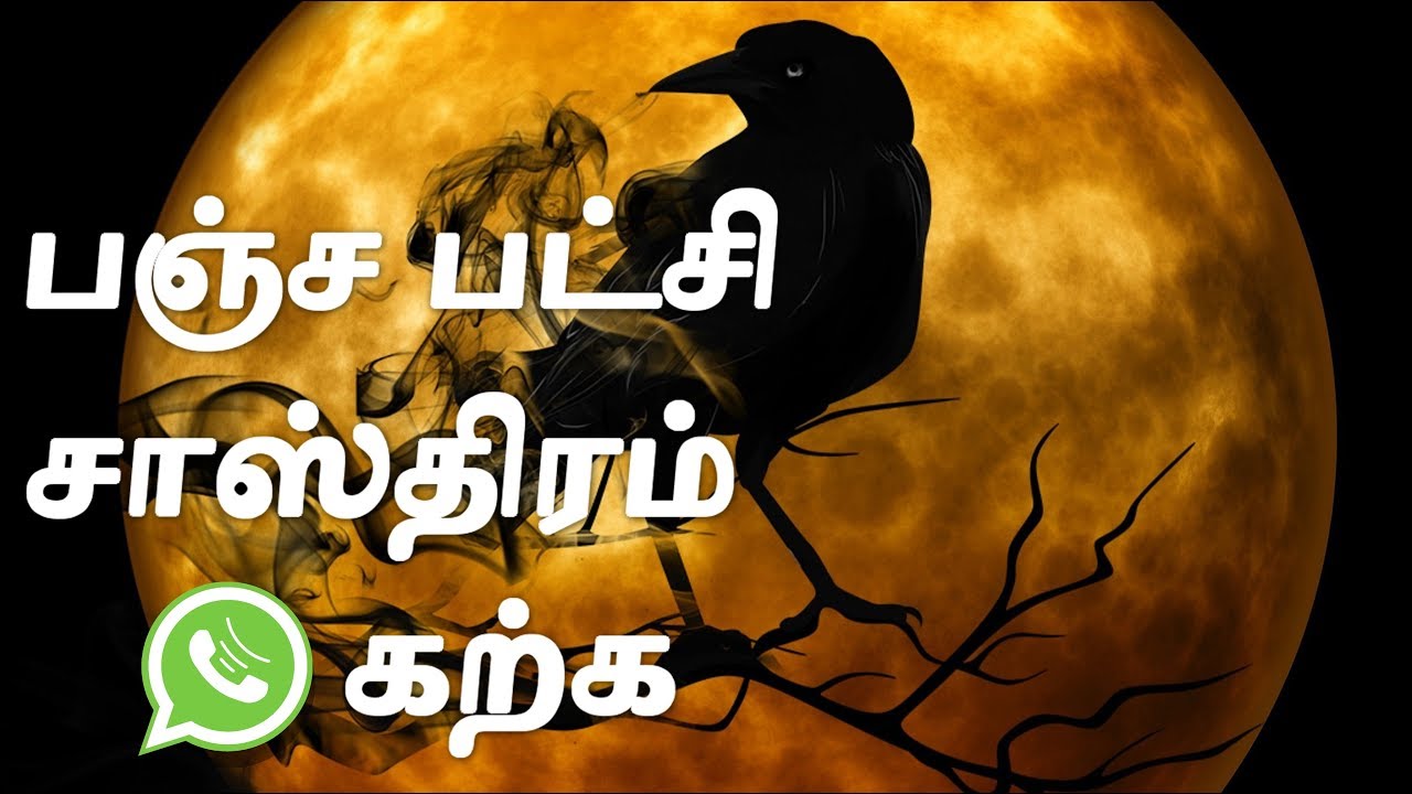 Learn Panchapatchi Sastram in Tamil and Review - YouTube