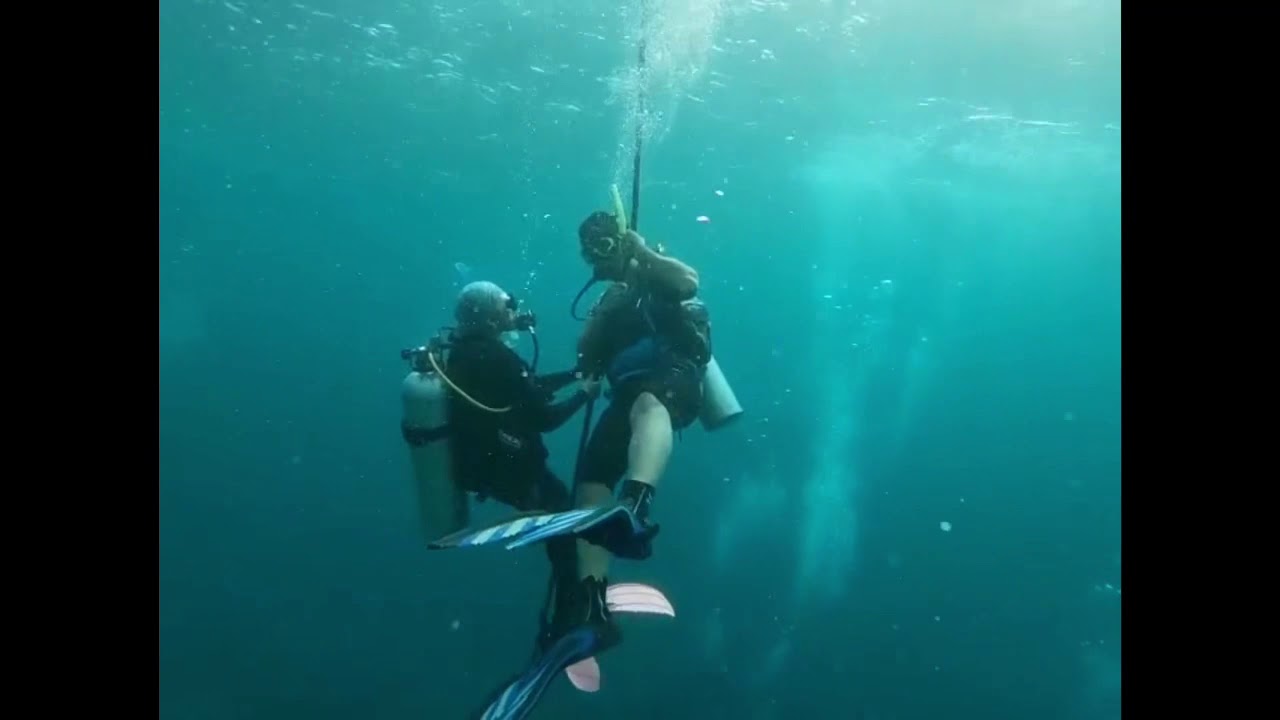 Scuba Diving in Jeddah: Best Scuba Spots to Explore. - YouTube