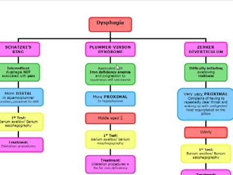 Dysphagia Part 2 - YouTube