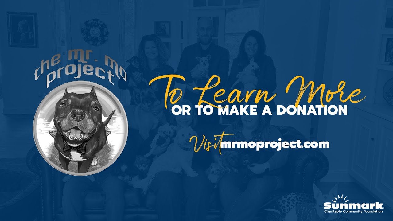 2024 Sunmark Foundation ICU Awards | The Mr. Mo Project - YouTube