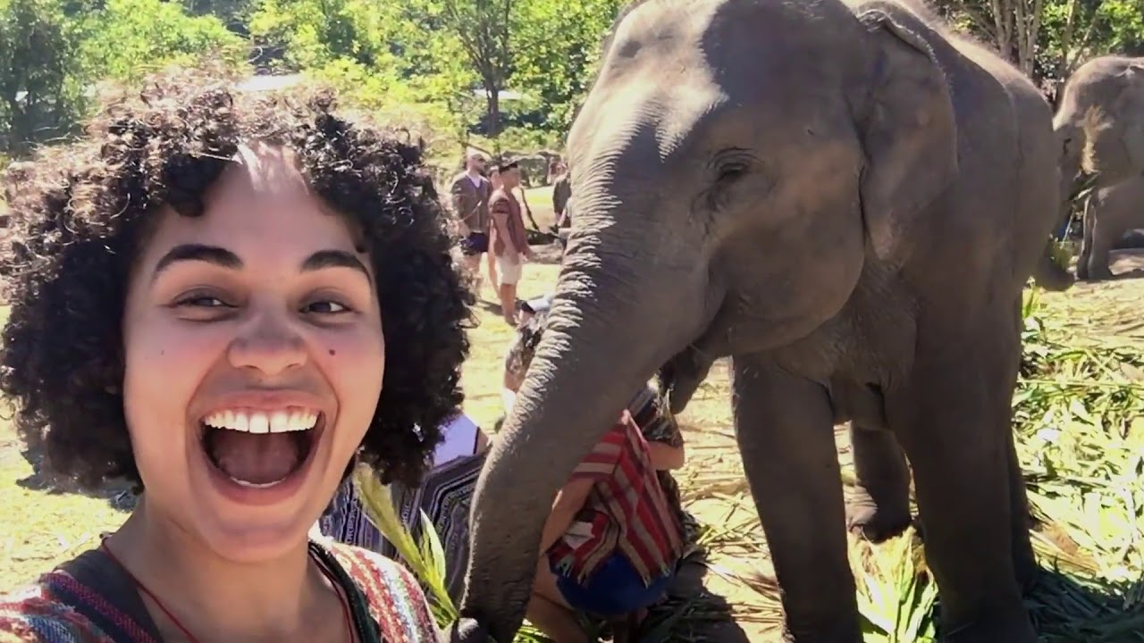 Words to Travel the World - Grammarly - YouTube