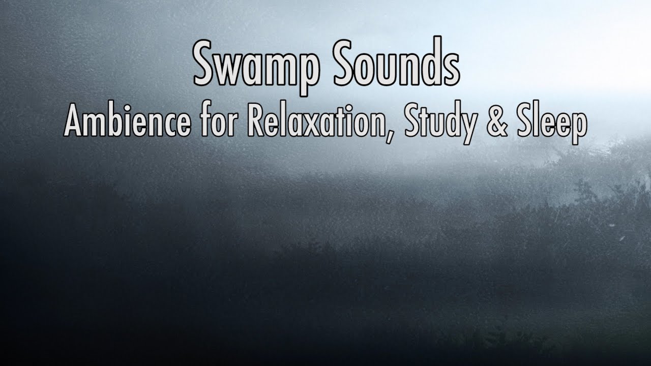 Swamp Sounds - Ambience for Relaxation, Study and Sleep - 11 Hours # ...