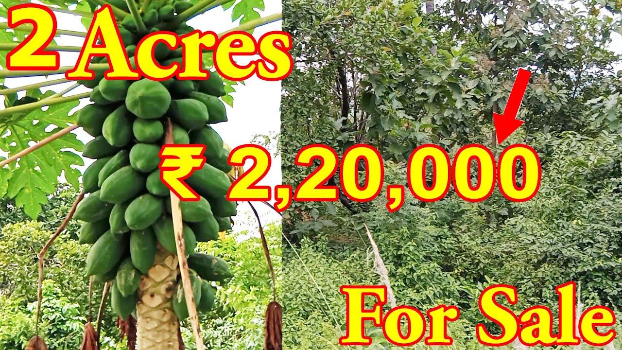 2 Acres Road Point Agricultural Land For Sale | Cheap Price Land Sale ...