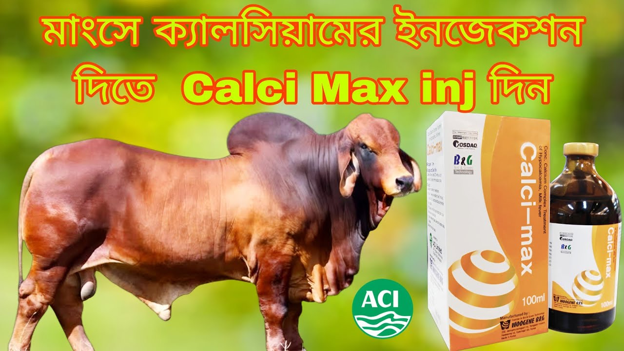মাংসে ক্যালসিয়ামের ইনজেকশন দিতে Calci Max inj দিন || ANIMAL HEALTH ...