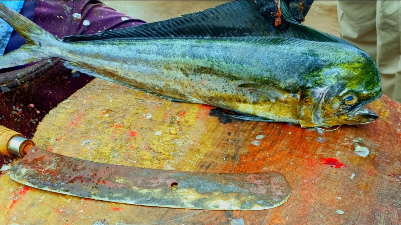 Mahi Mahi Skin Leather