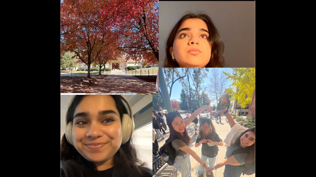 Day in the Life of a Pharmacy Student: PP2 YEAR Rutgers University - YouTube