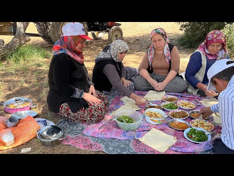 Tarlada Sabahtan Akşama Bir Gün ‼️ Tütün Dikimi 👩‍🌾 Köyde Yaşam ✅