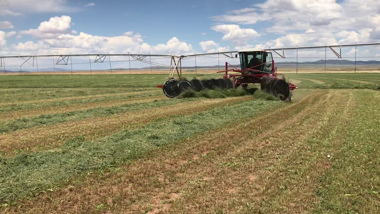 Swather Rake - YouTube