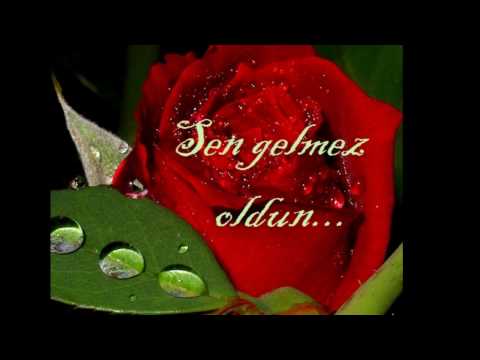 Sen gelmez oldun fon