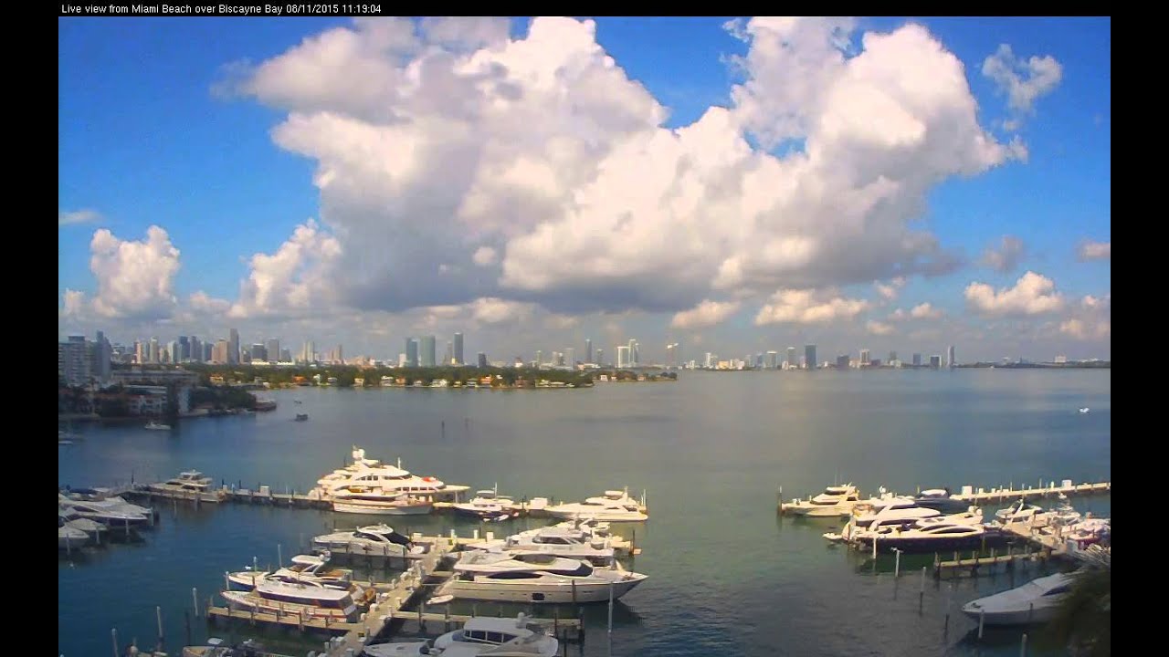 Miami Weather Show August 11, 2015 - YouTube