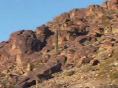 Finding Common Quartz in Quartzsite AZ - YouTube