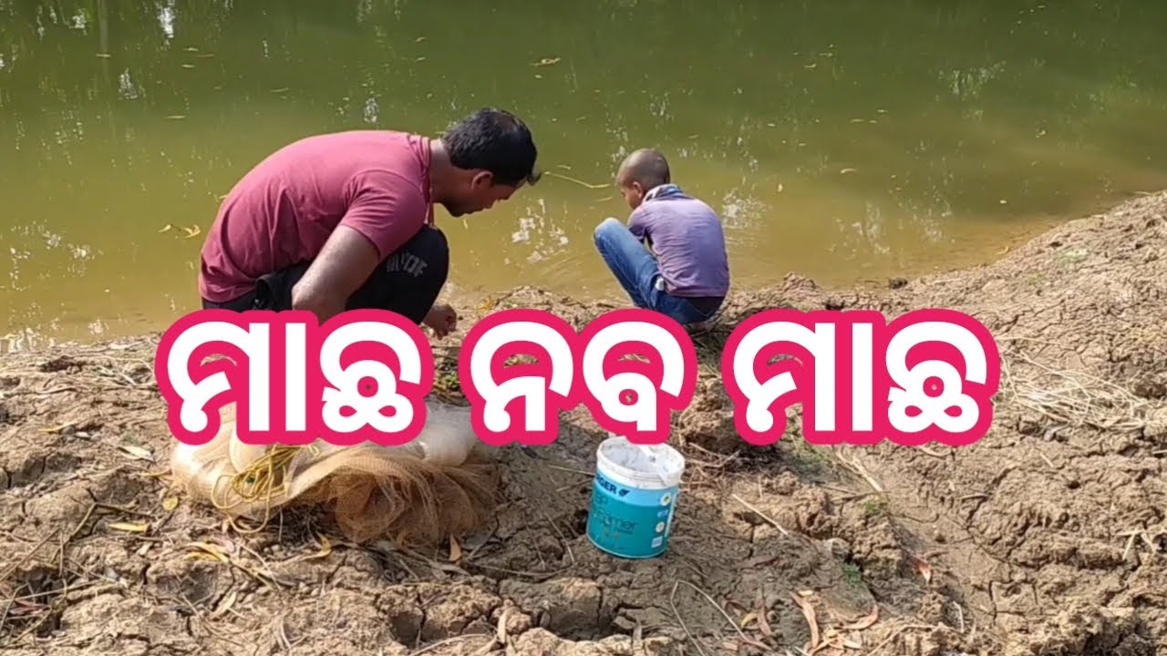 ମାଛ ନବ ମାଛ || Mr dev Vlogs || Daily Vlogs - YouTube