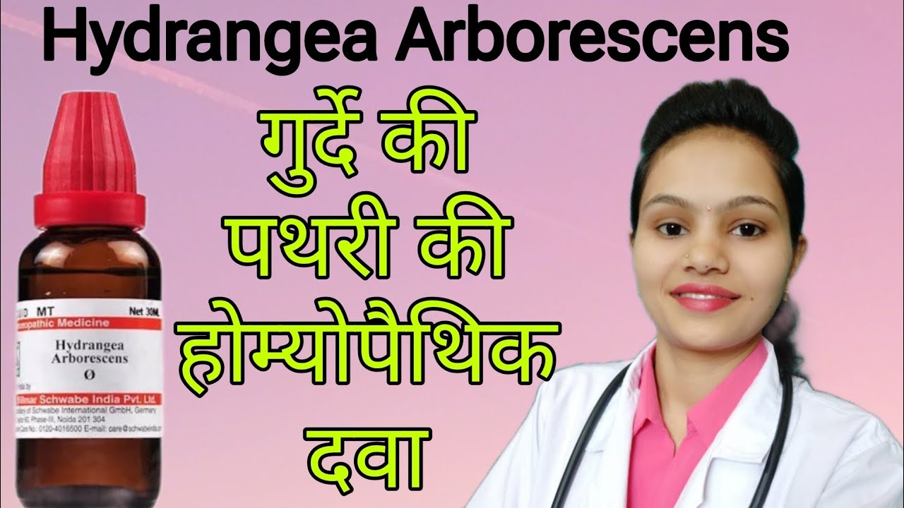 Hydrangea Arborescens homeopathic medicine uses, review and side ...