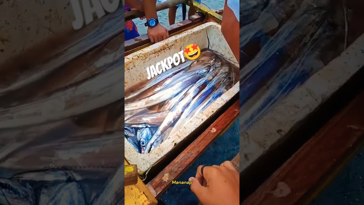 nice sa ribbon fish/isdang espada #fishing #fishingvideo - YouTube