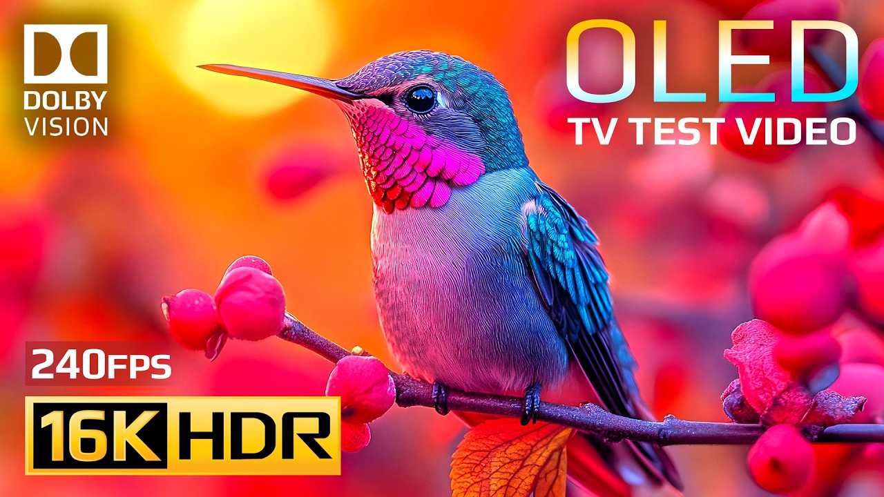 Breathtaking Ultra Clarity | 16K HDR 240fps Dolby Vision For 8K OLED ...