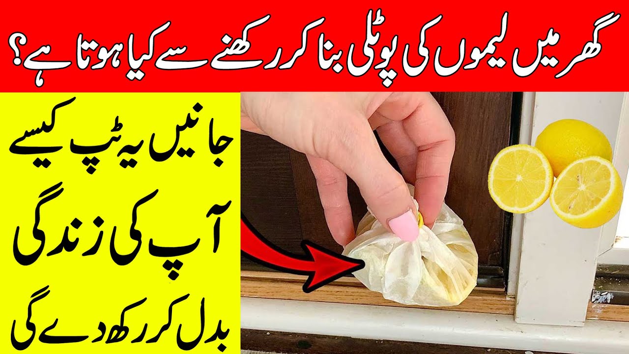 Why is lemon a good insecticide? | Money Saving Tip | Reality Facts ...