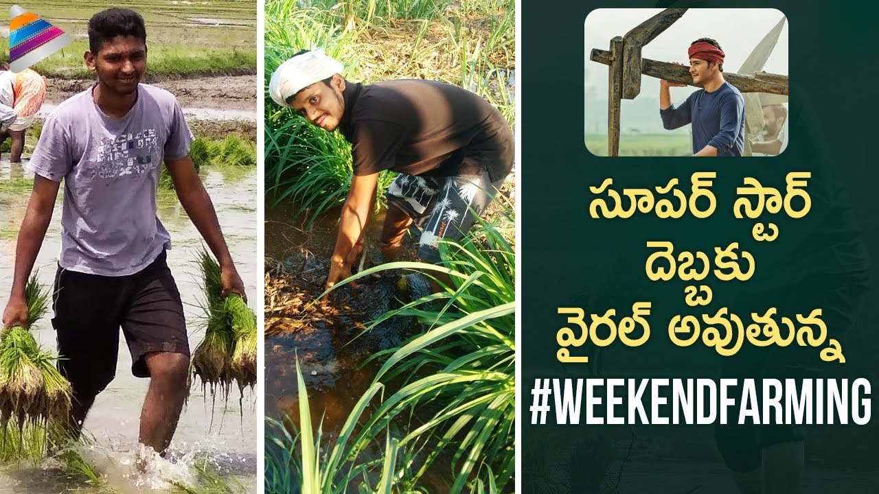 Maharshi Movie Weekend Farming Message Gets Superb Response | Mahesh ...