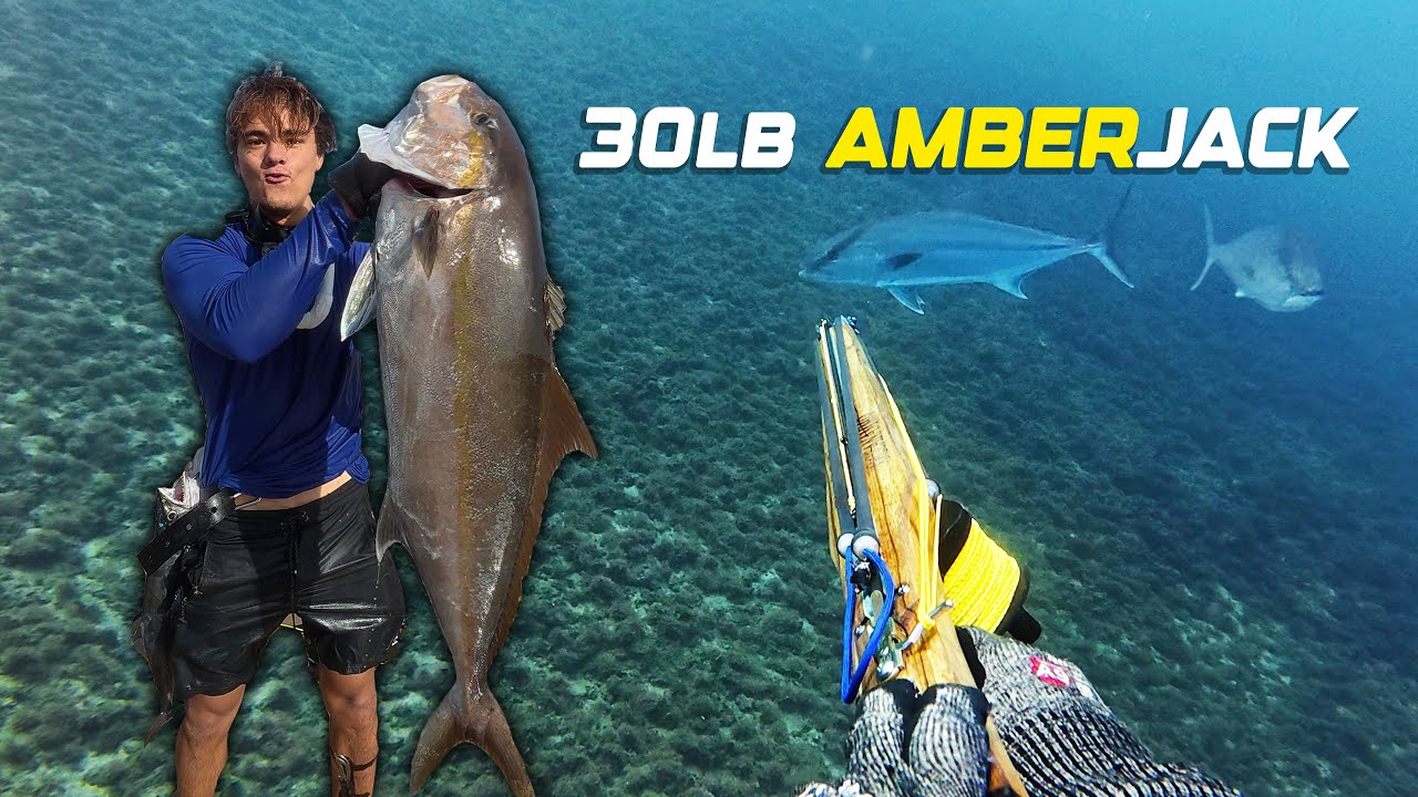 Big fish EVERYWHERE | Spearing MASSIVE Amberjack from a Shore Dive ...