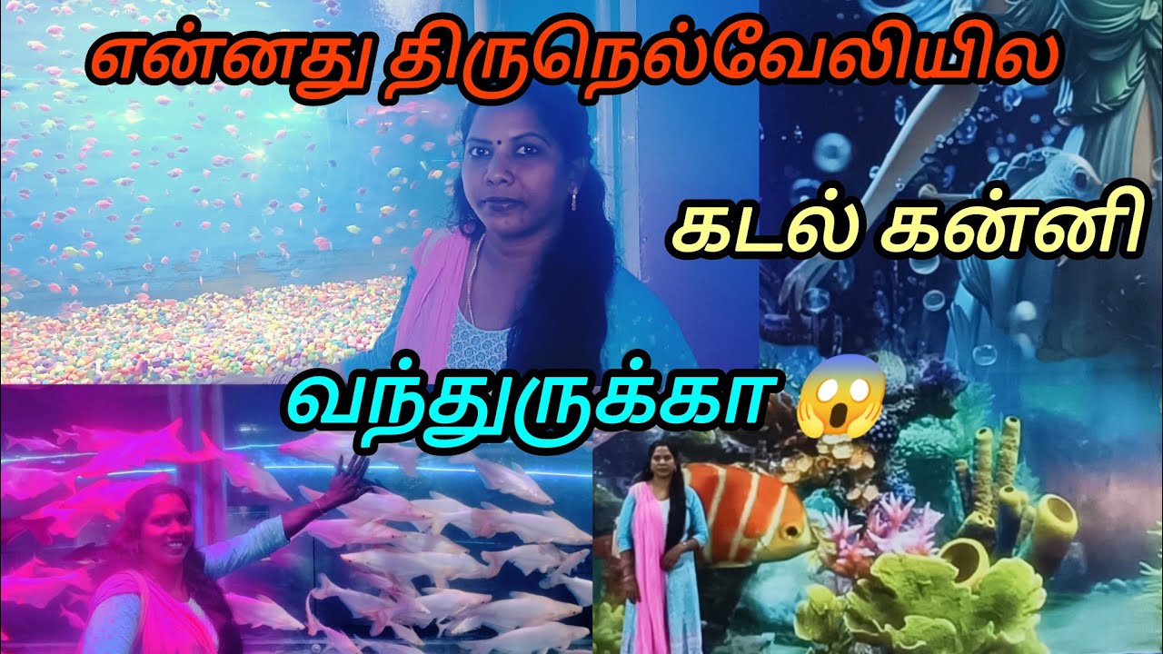 கடல் கன்னி Expo 😱in Tirunelveli// kadal kanni expo in nellai 2024 - YouTube