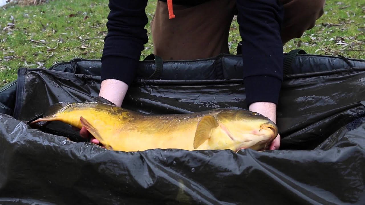***CARP FISHING TV*** In Session - Tom Maker @ Greenacres - YouTube