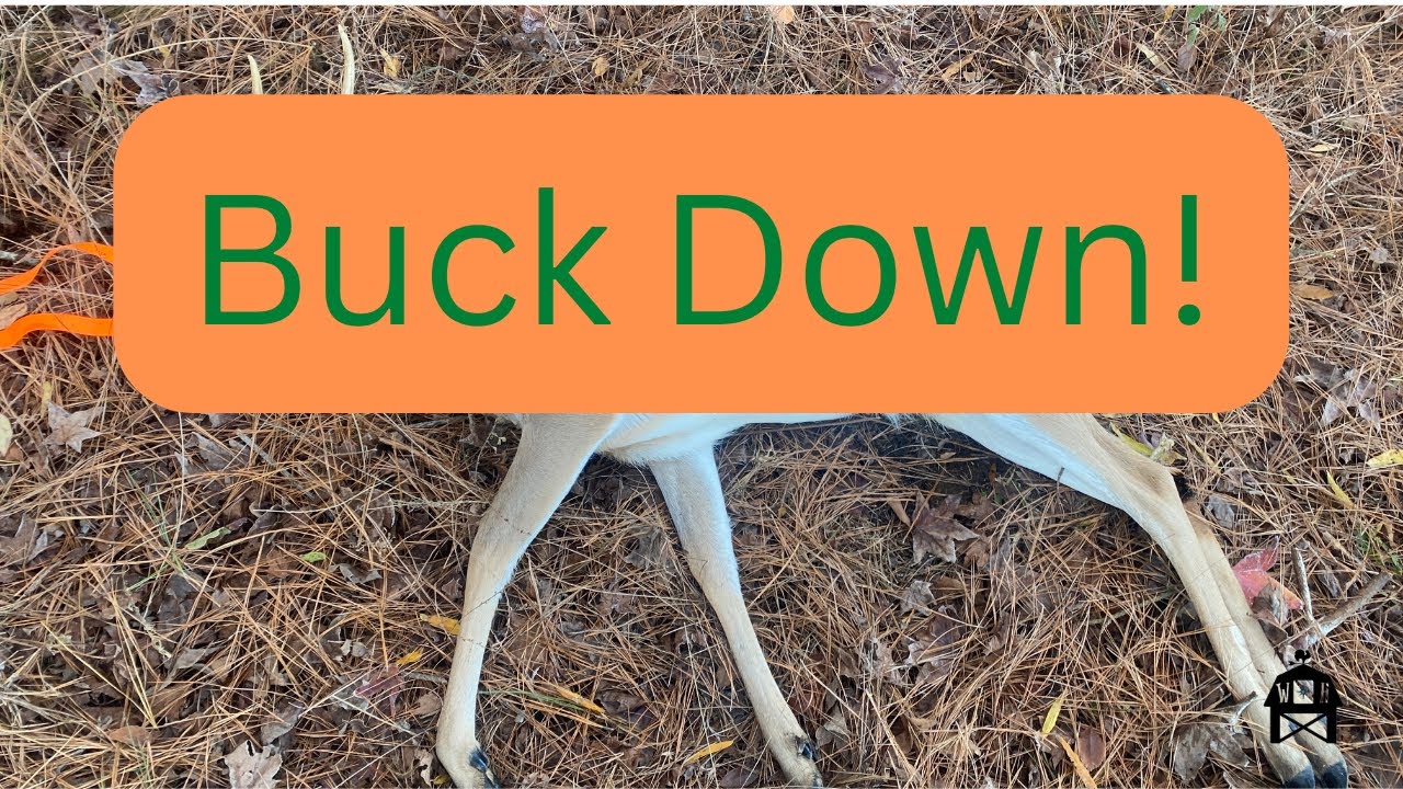 BUCK DOWN!! 8 pointer down in South Hill/ Boydton VA - YouTube