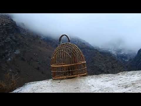keklik sesi shikari chakor sound #birds #shikri #voice #awaz #madi