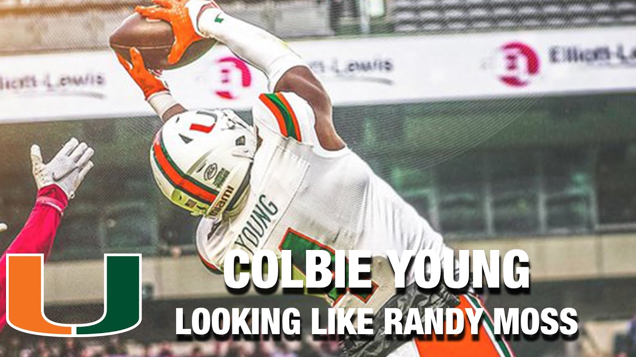 Miami's Colbie Young Looking Like Randy Moss On The TD Grab - YouTube