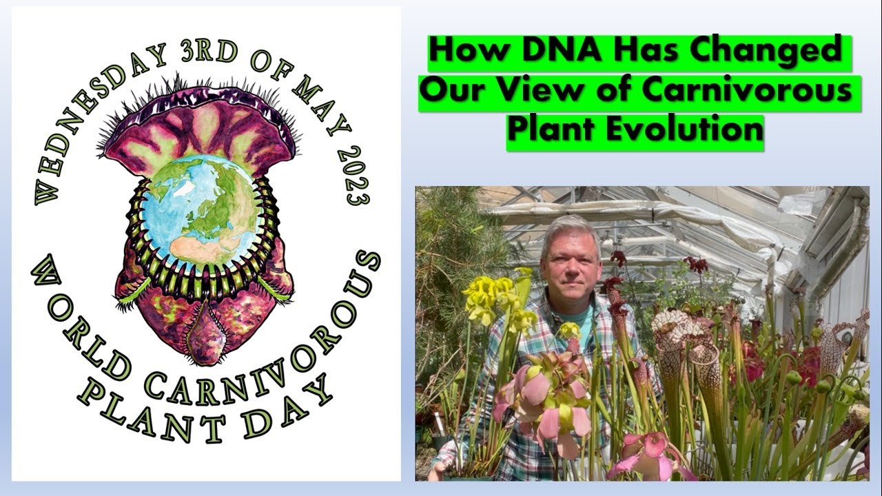 How DNA Has Changed Our View of Carnivorous Plant Evolution - YouTube