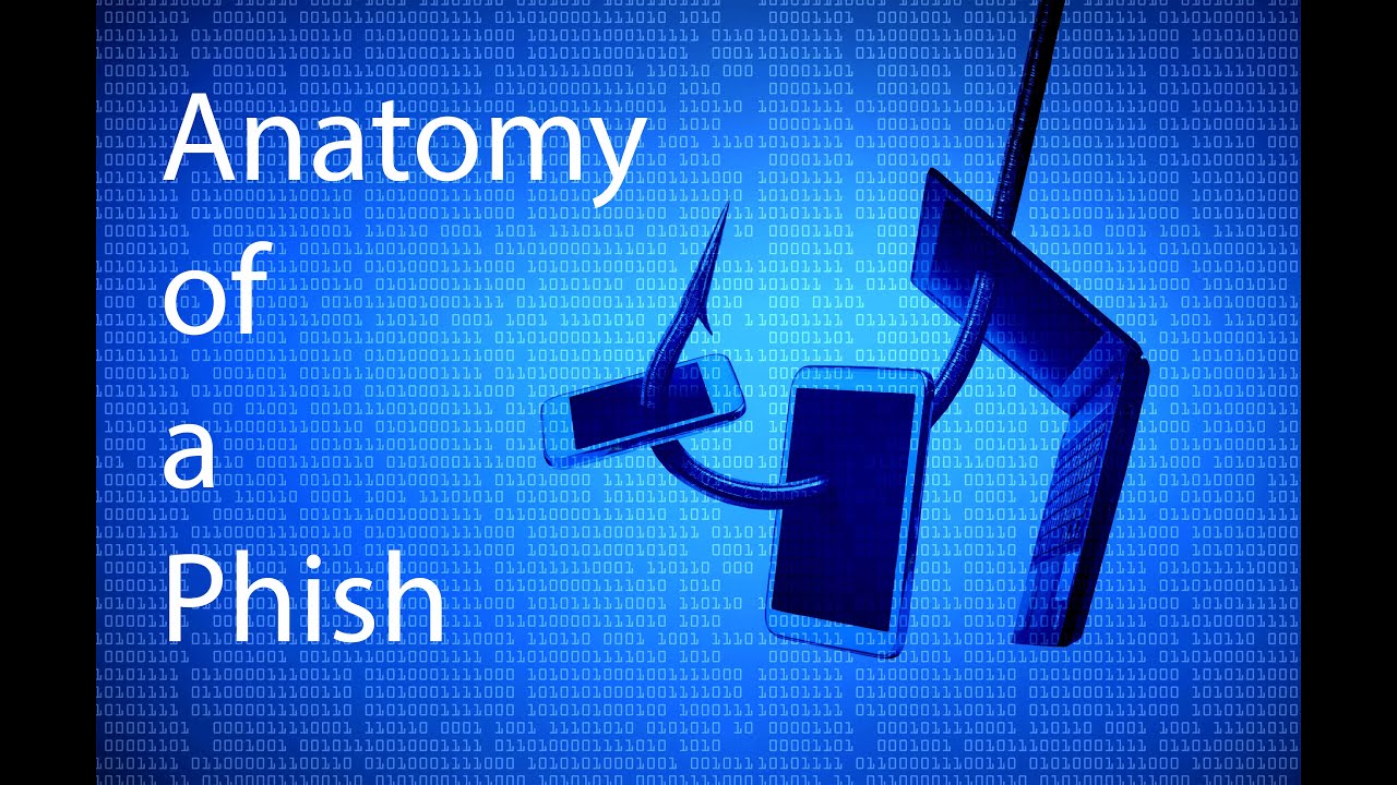 Anatomy of a Phish - YouTube