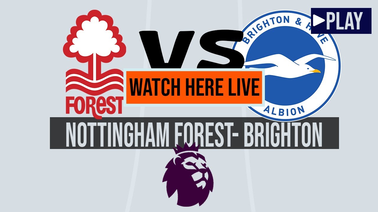 Nottingham Forest vs Brighton Match Highlights English Premier League ...