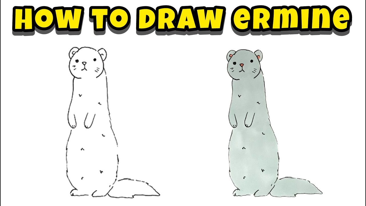 Drawing Tutorial: How to Draw Cute Ermine – Follow Along, Watch and ...