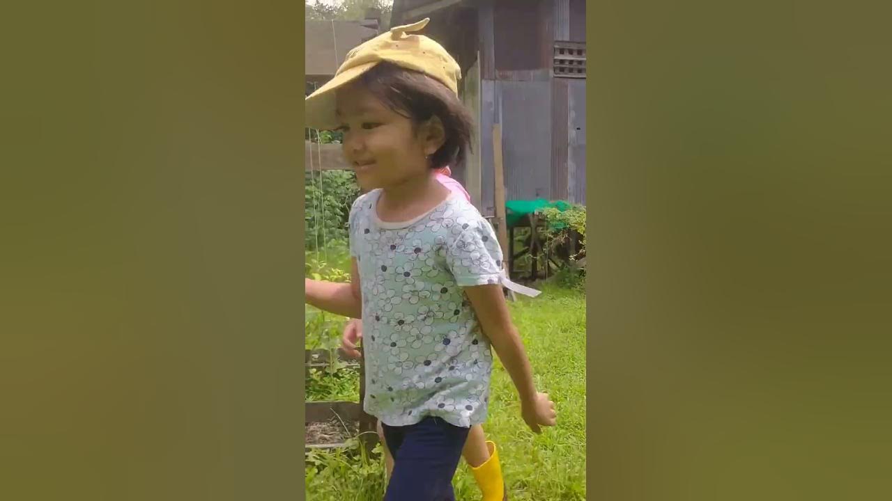 vlog bubu & bipico, panen kedua... - YouTube