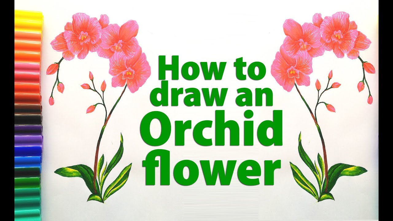 How to draw an orchid flower / Orchid flower drawing tutorial - YouTube