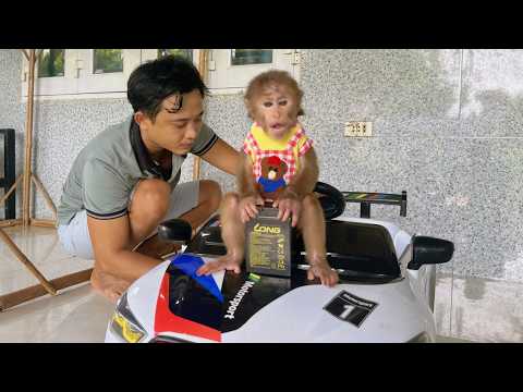 Lulu’s Excitement When Dad Replaces Her Car’s Battery