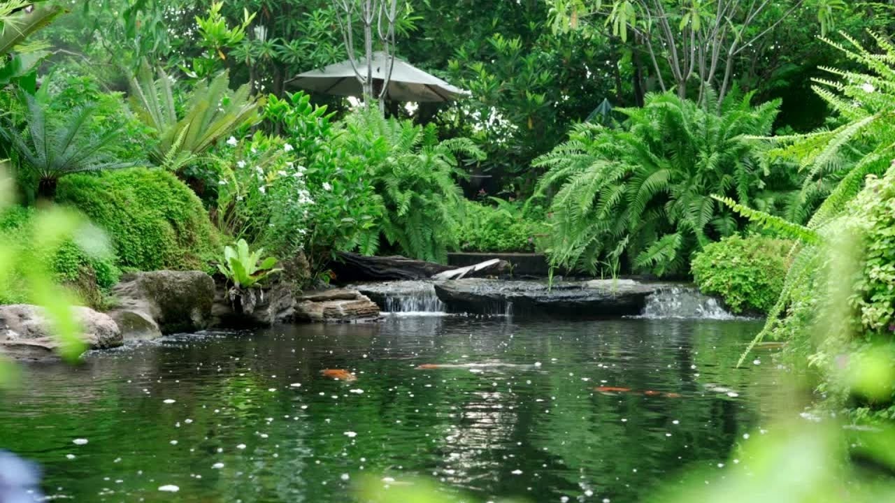 The Sounds of a Pond: A White Noise Video for Sleep and Relaxation ...