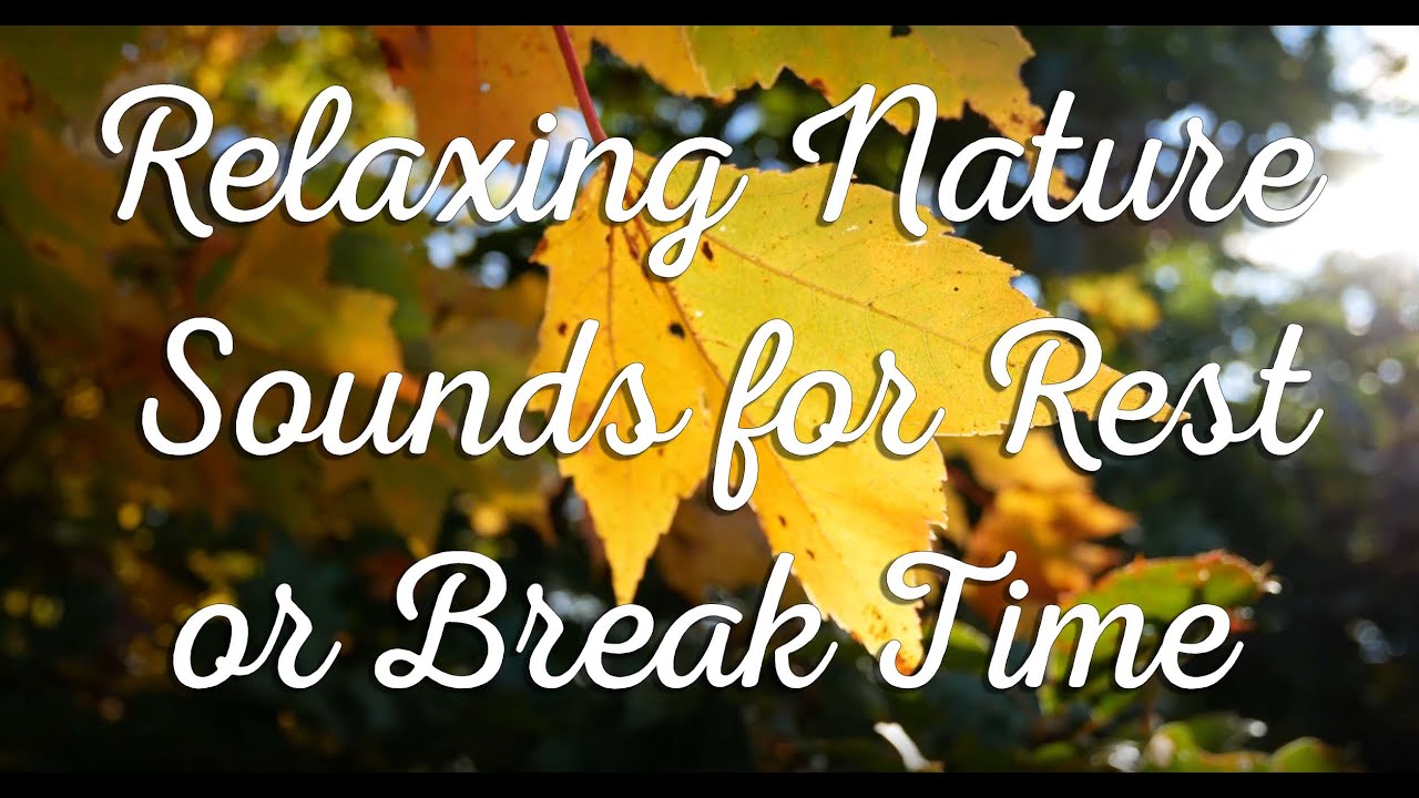 Relaxing Journey Through Nature with Calming Music for Rest or ...
