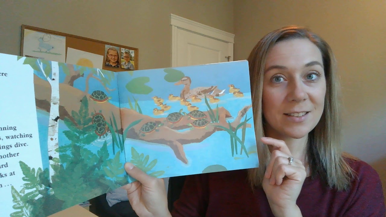 Turtle Splash by Cathryn Falwell - YouTube