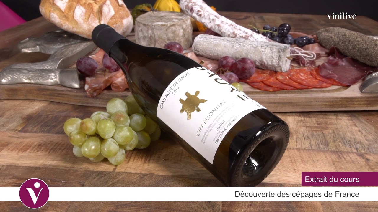 Cours d'oenologie en video : les rouges qui réveillent les papilles ...