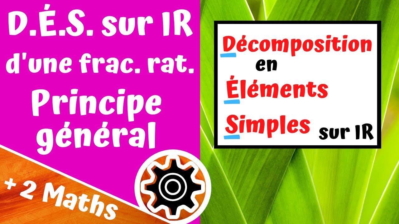 Principe général d'une décomposition en éléments simples sur IR d'une ...